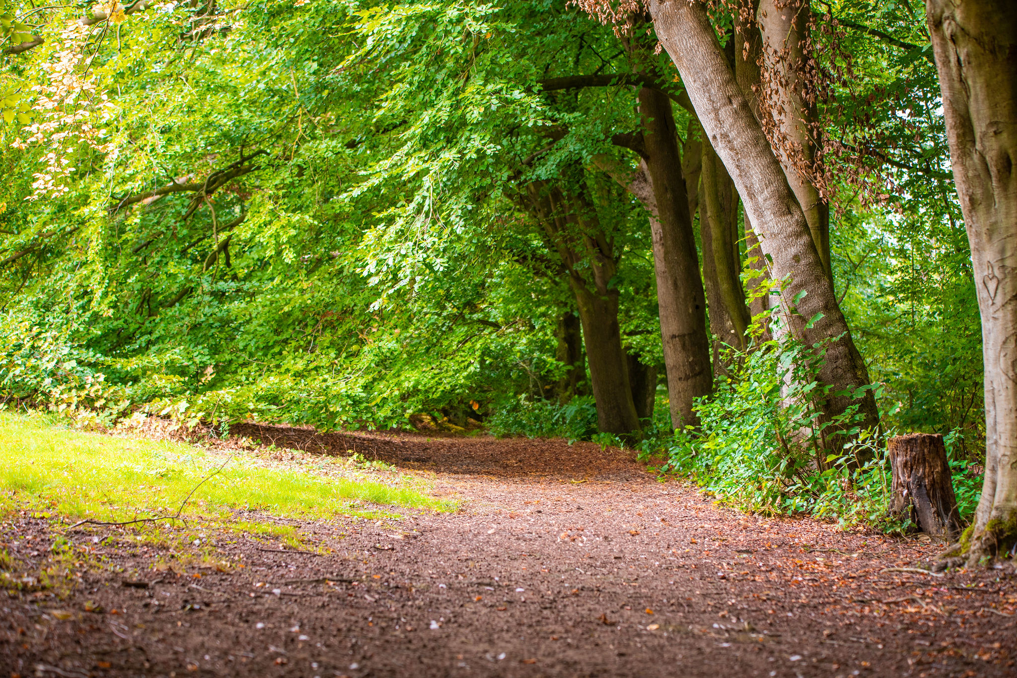 Hubbard's Hills - Louth Town Council