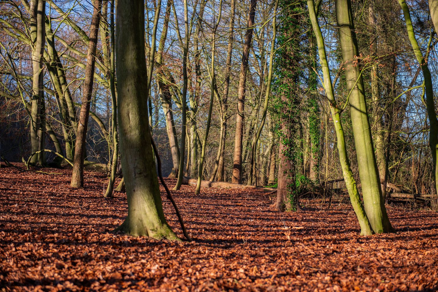 Hubbard's Hills - Louth Town Council